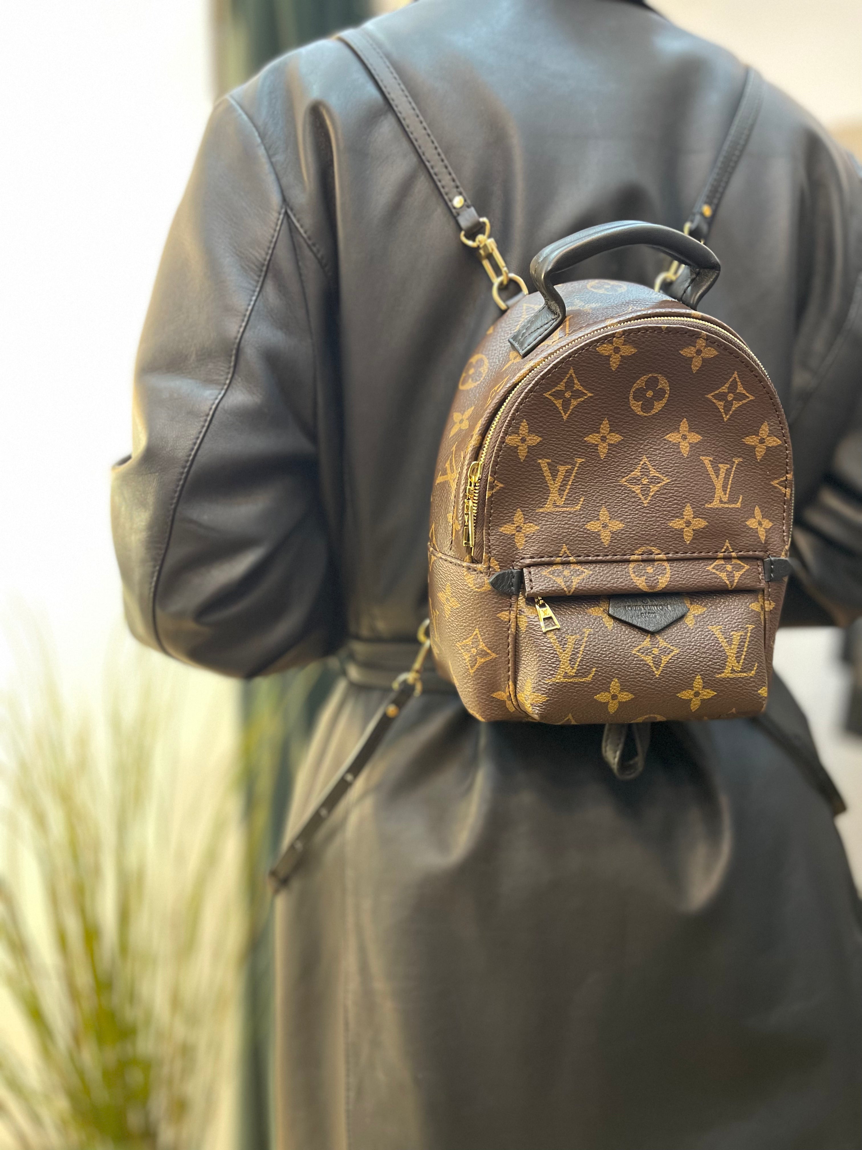 Louis Vuitton Monogram Canvas Palm Springs Mini Backpack – Siopaella ...